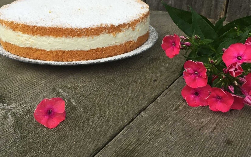 Topfentorte - Backen mit Christina
